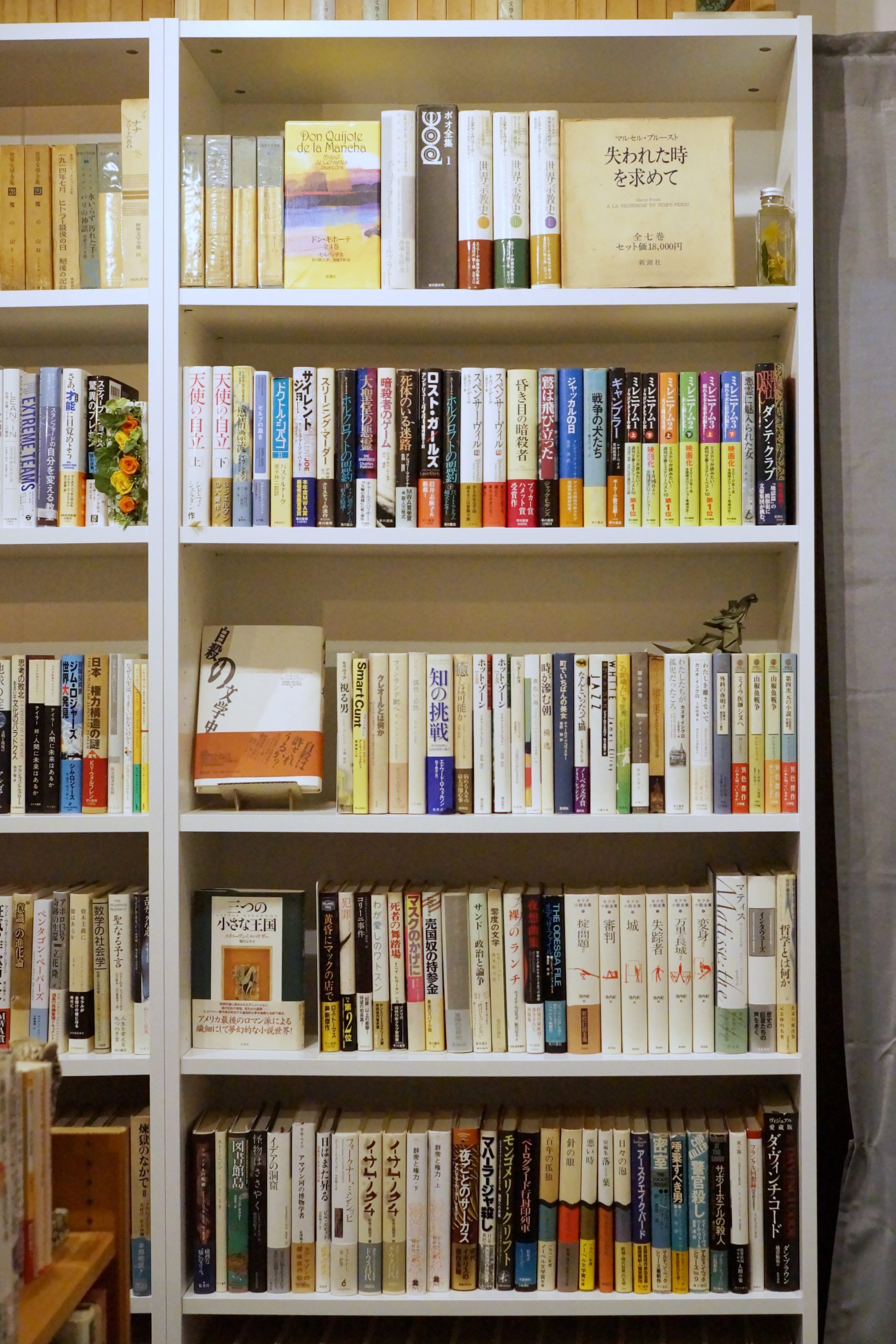 tana_4 – WAGTAIL BOOK STORE